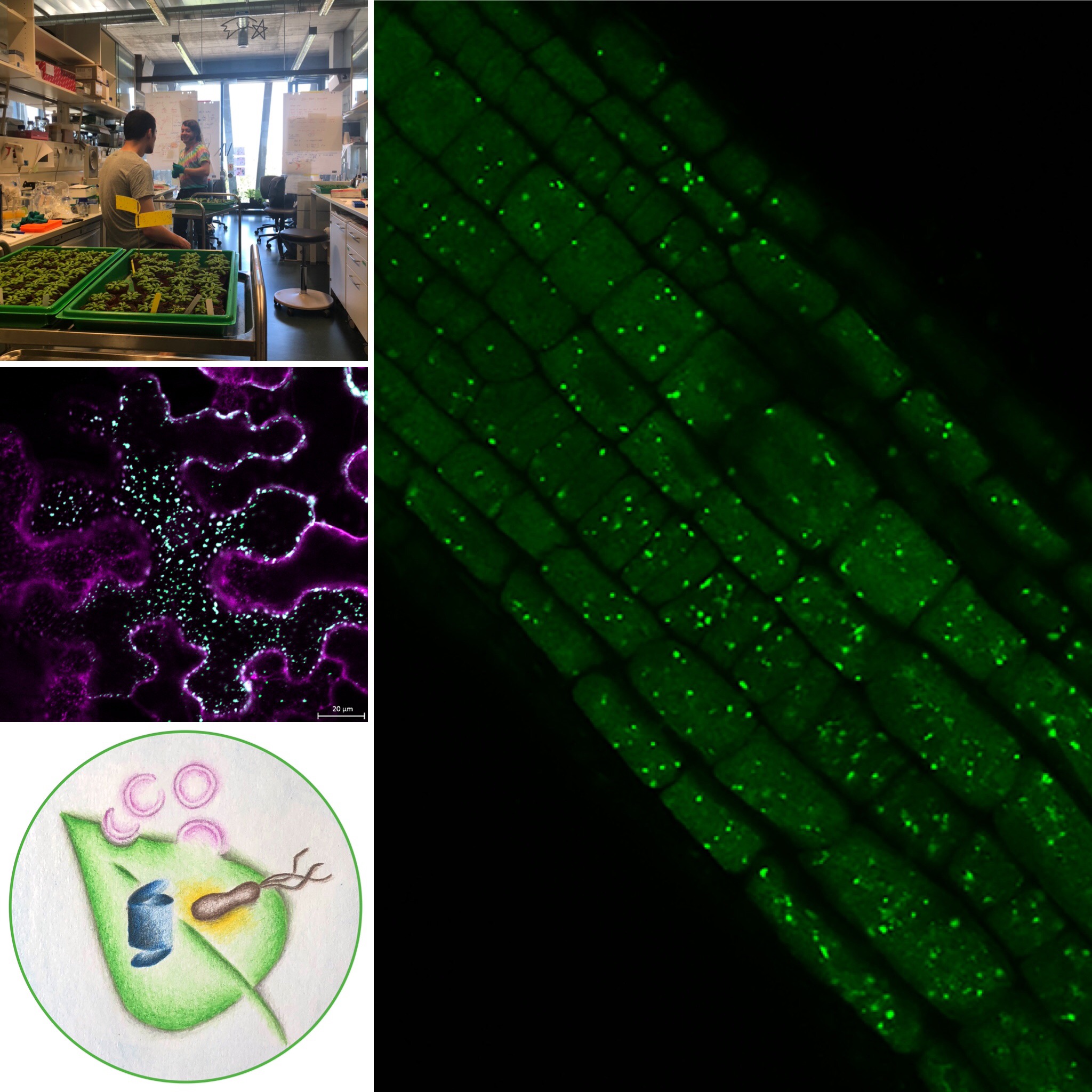 One year anniversary of the Üstün Lab – The Üstün Lab
